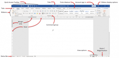 An express tour of the Microsoft Word screen for beginners